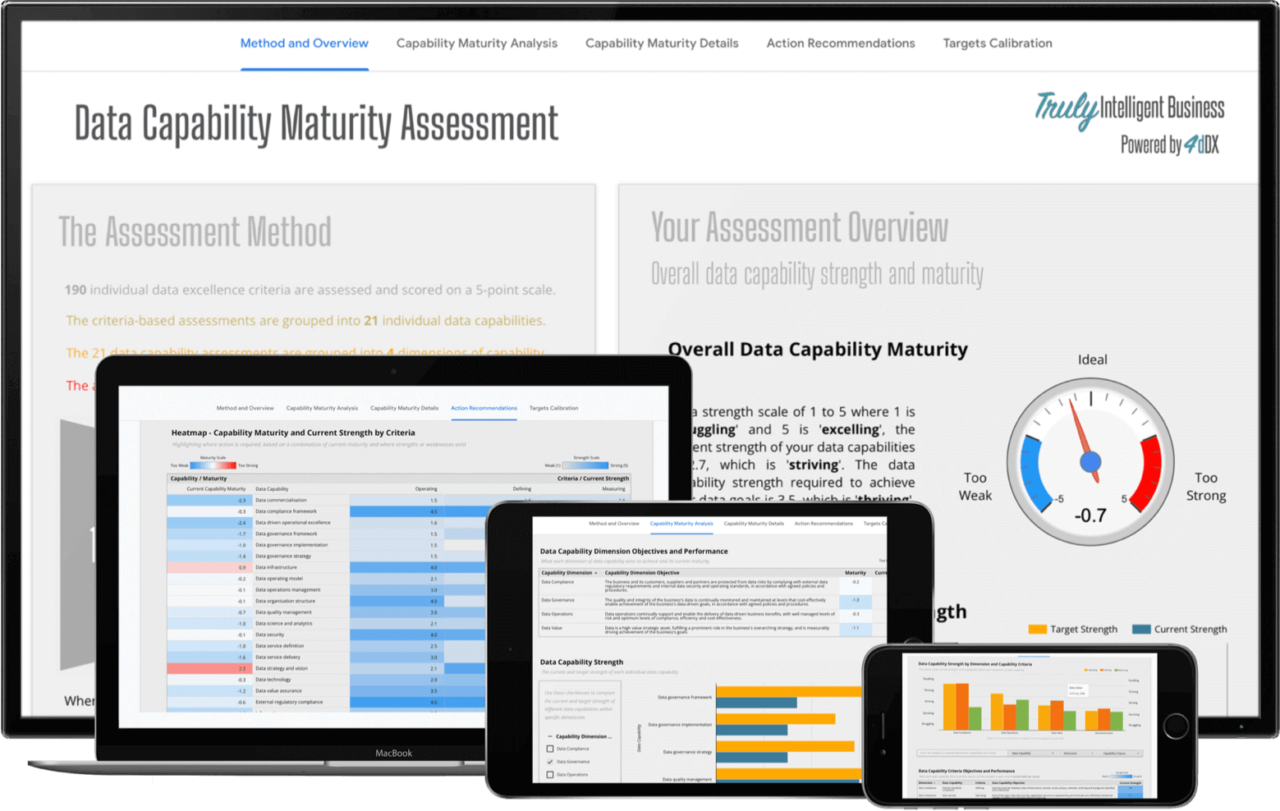 Data Capability Maturity Assessment - Truly Intelligent Business